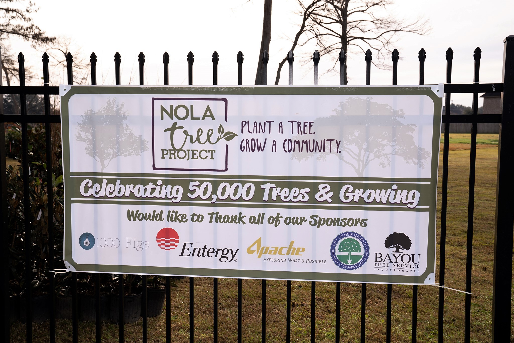 Entergy, NOLA Tree Project Celebrate TREEmendous Success - Entergy