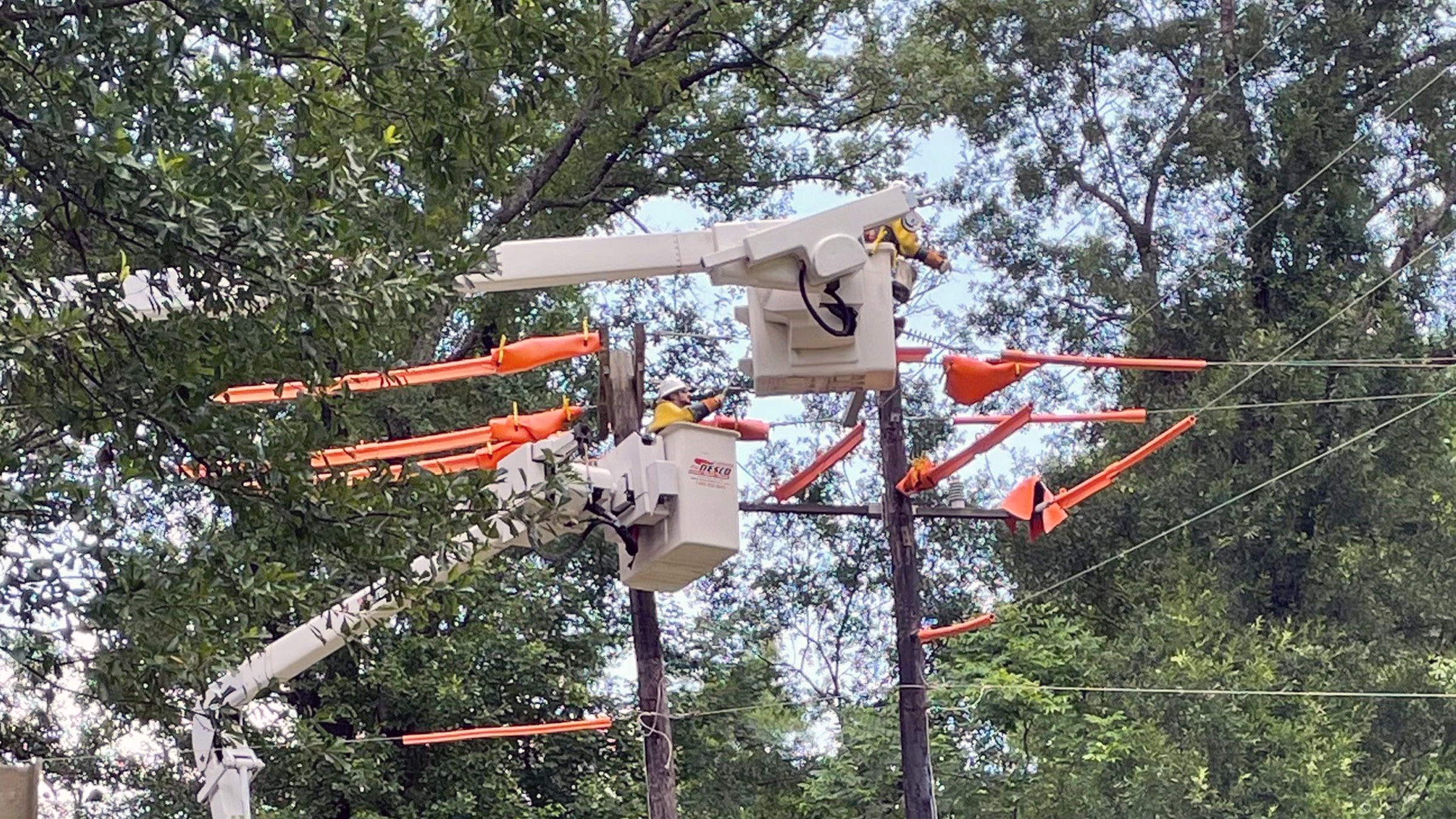 Entergy Louisiana Investing More Than $3M in Electric System in Webster ...