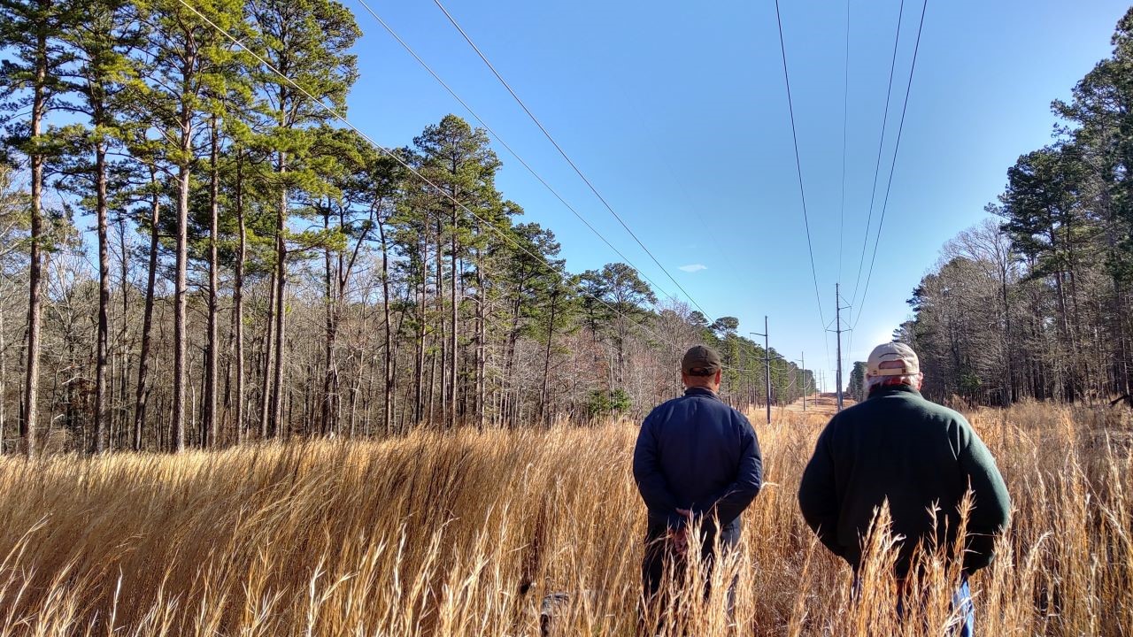 Entergy’s vegetation management program increases power reliability ...